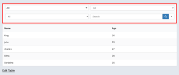 Custom Filters - Ninja Tables Data Filtering