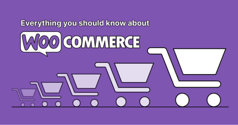 What is WooCommerce? Everything You Should Know